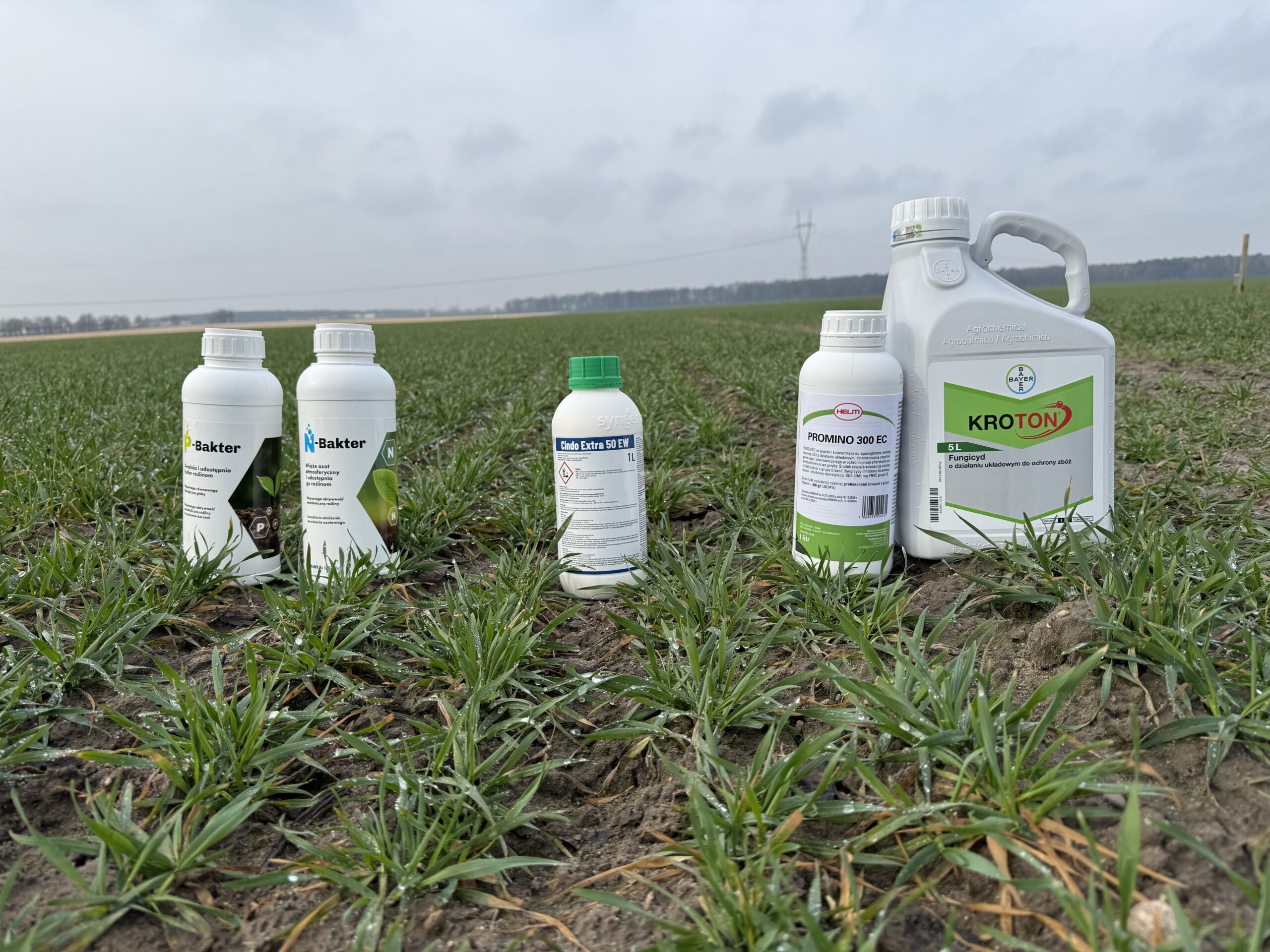 Zabieg T1 - Zboża ozime - Agrochest